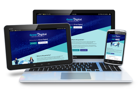 Grow Digital: Self-Assessment Portal for Irish Businesses